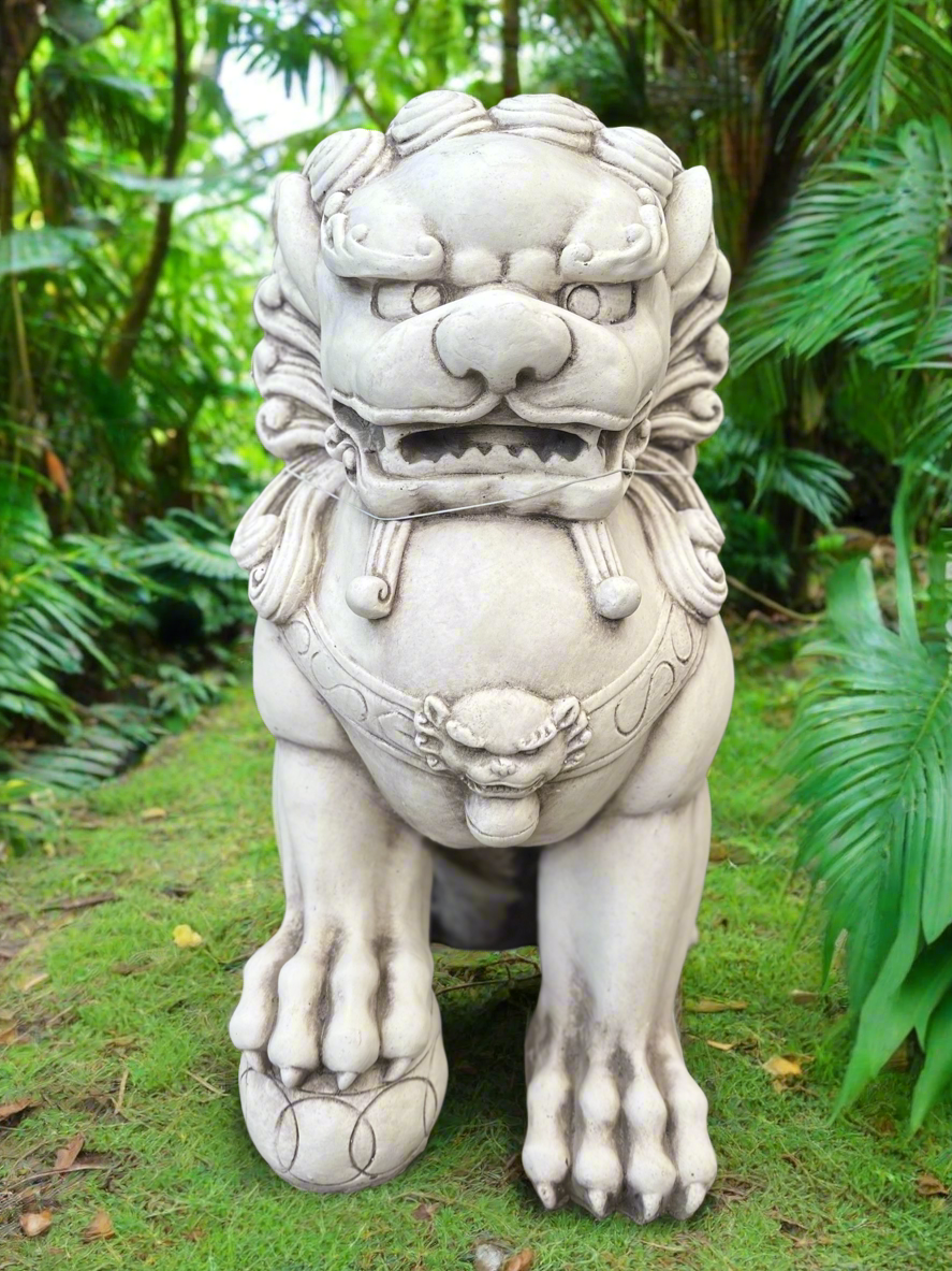 Chinese Lion Statue | Feng Shui | Shishi (Left)67.5CM - Urban Lush NZ