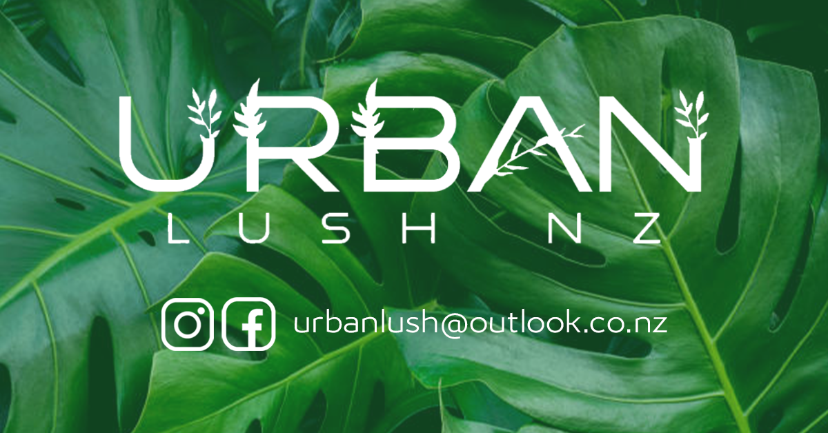 Plant Shop in Auckland, New Zealand | Indoor Plants | Urban Lush NZ