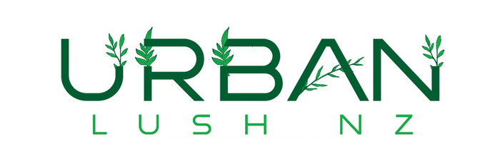 Plant Shop in Auckland, New Zealand | Indoor Plants | Urban Lush NZ