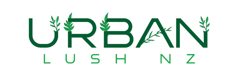 Plant Shop in Auckland, New Zealand | Indoor Plants | Urban Lush NZ